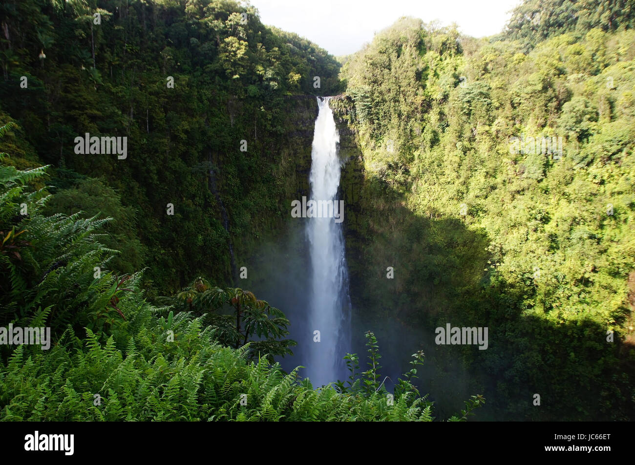 Hawaii is an island chain in the Pacific Ocean and since 1959 the 50th ...