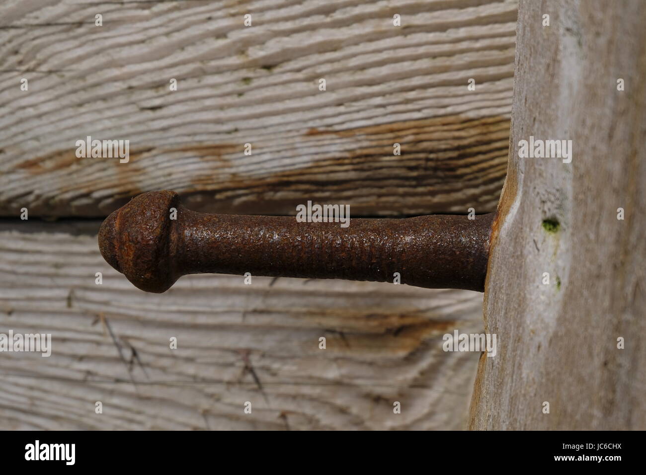 Large rusting iron nail protruding out from wooden groyne on beach ...
