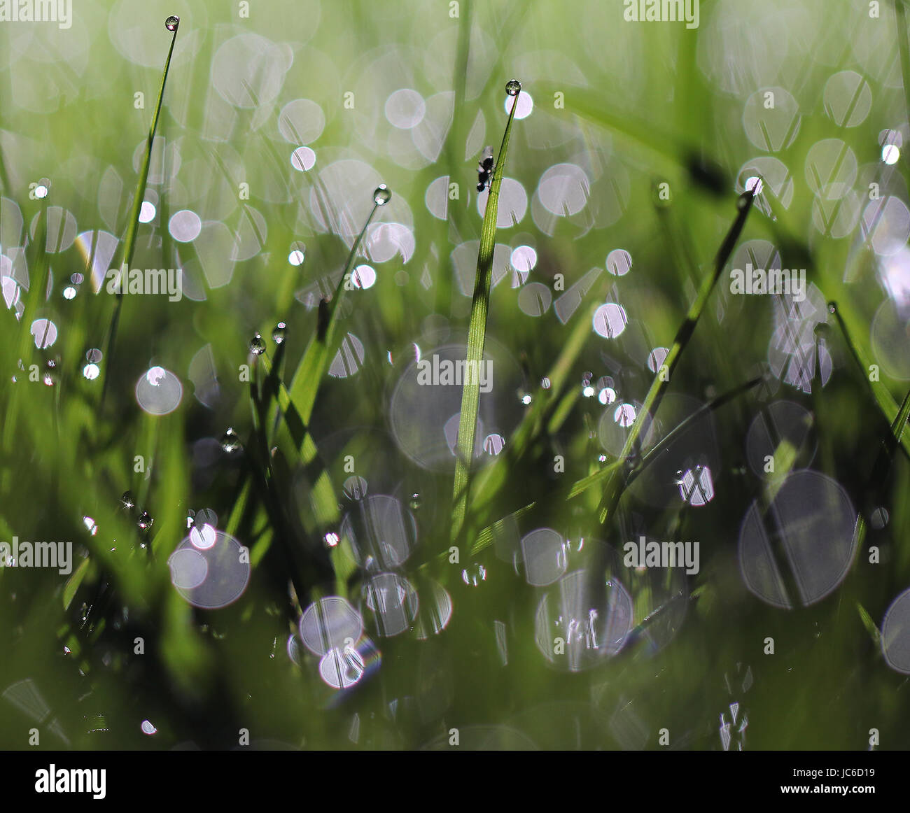 Reflections water droplets hi-res stock photography and images - Alamy