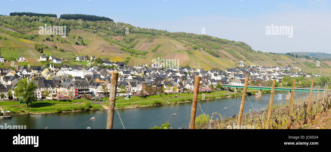 Panorama Reil an der Mosel im Frühling Stock Photo - Alamy
