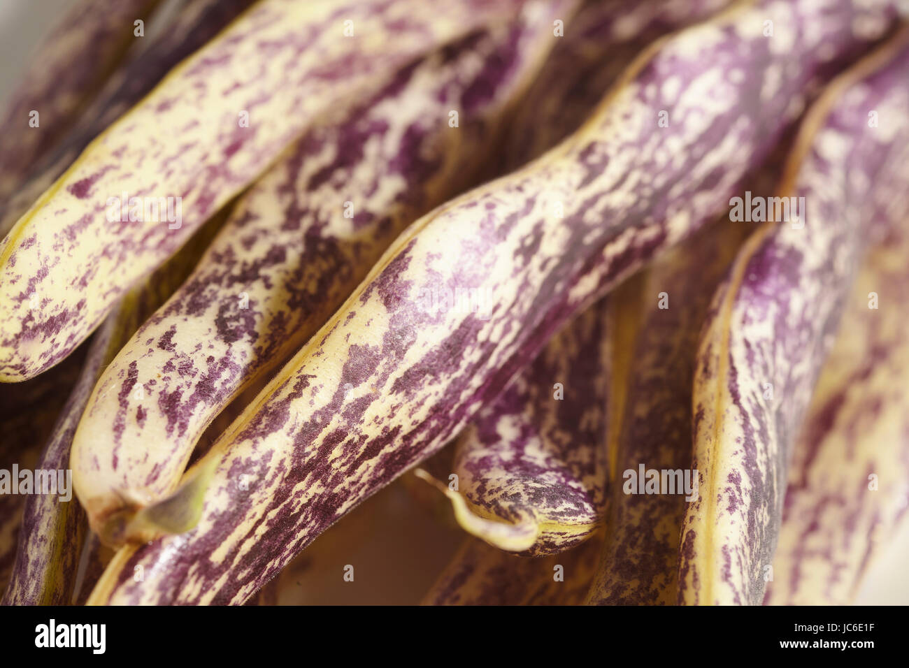 raw, fresh, dragon's tongue beans, an heirloom variety Stock Photo - Alamy