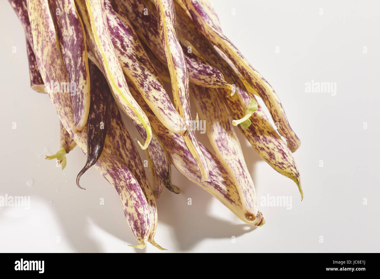 raw, fresh, dragon's tongue beans, an heirloom variety Stock Photo - Alamy
