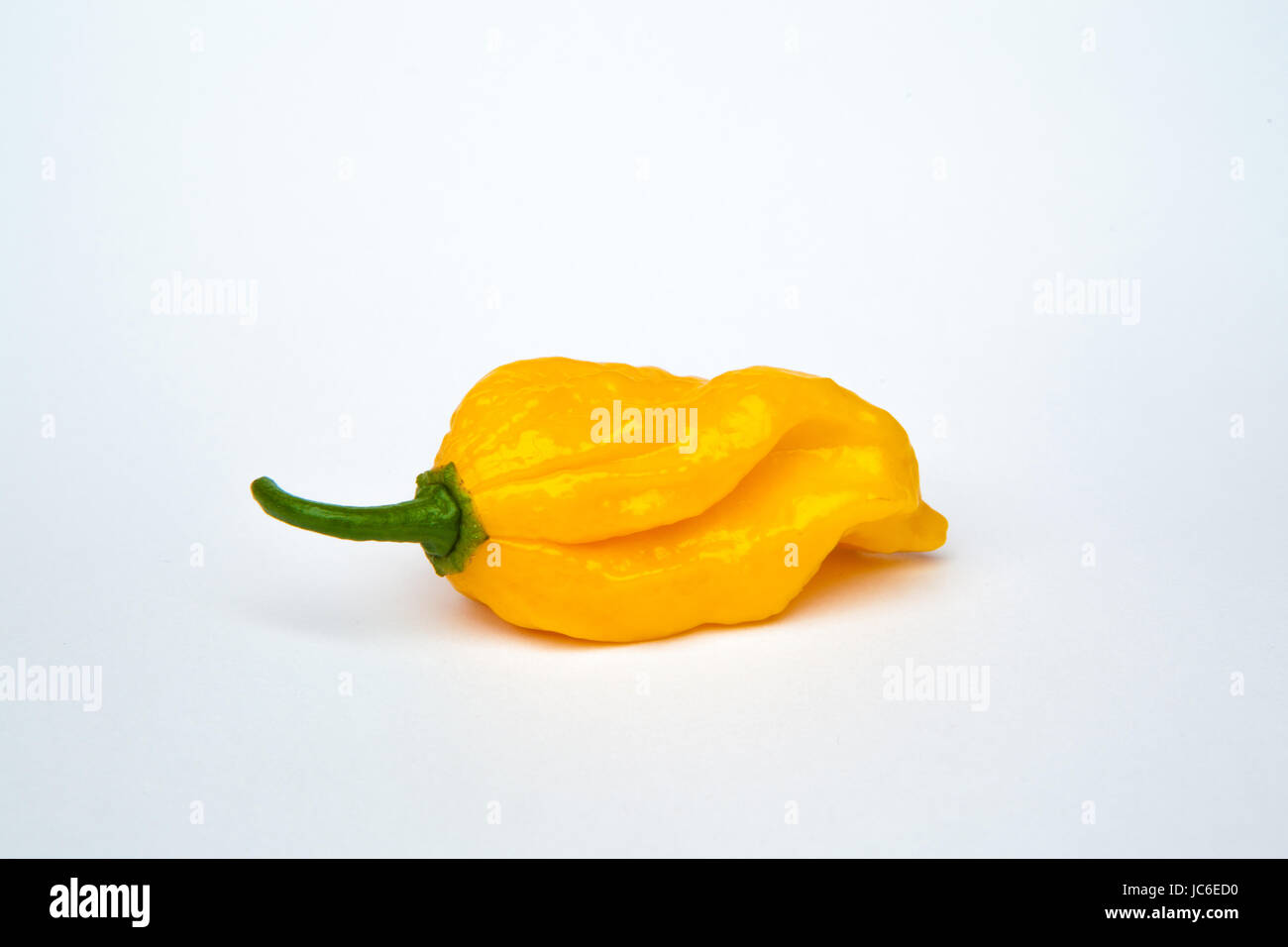 yellow fatalii chili pepper isolated on a white background Stock Photo ...