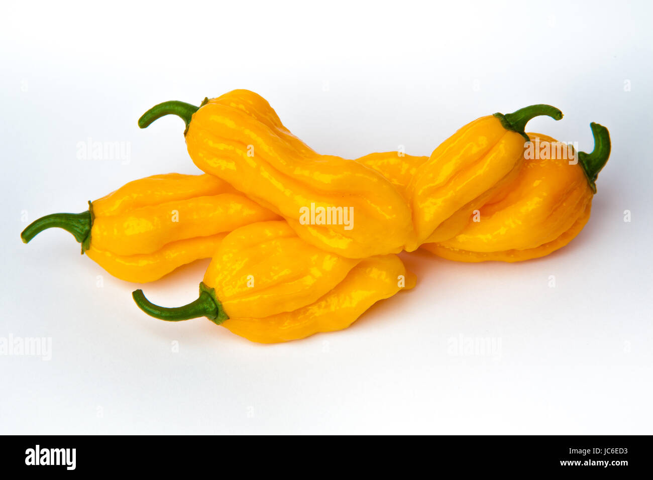 yellow fatalii chili pepper isolated on a white background Stock Photo ...