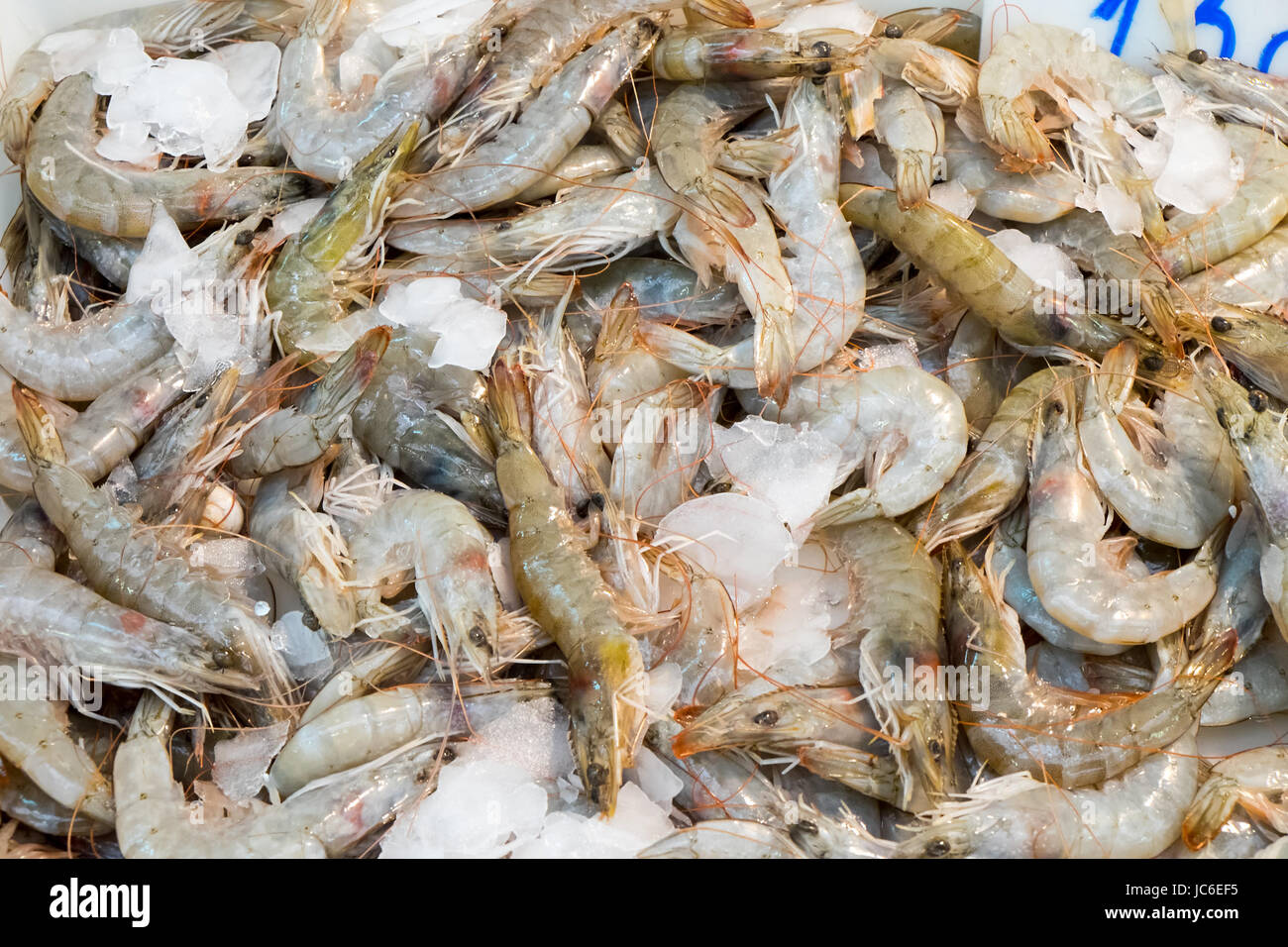 fresh shrimp at the fish market Stock Photo - Alamy