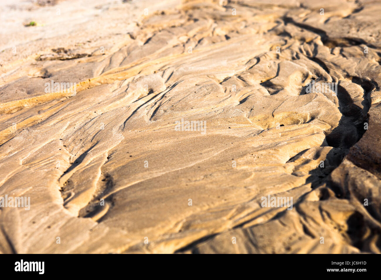 Sand surface after the rain with the relief formed by water currents ...
