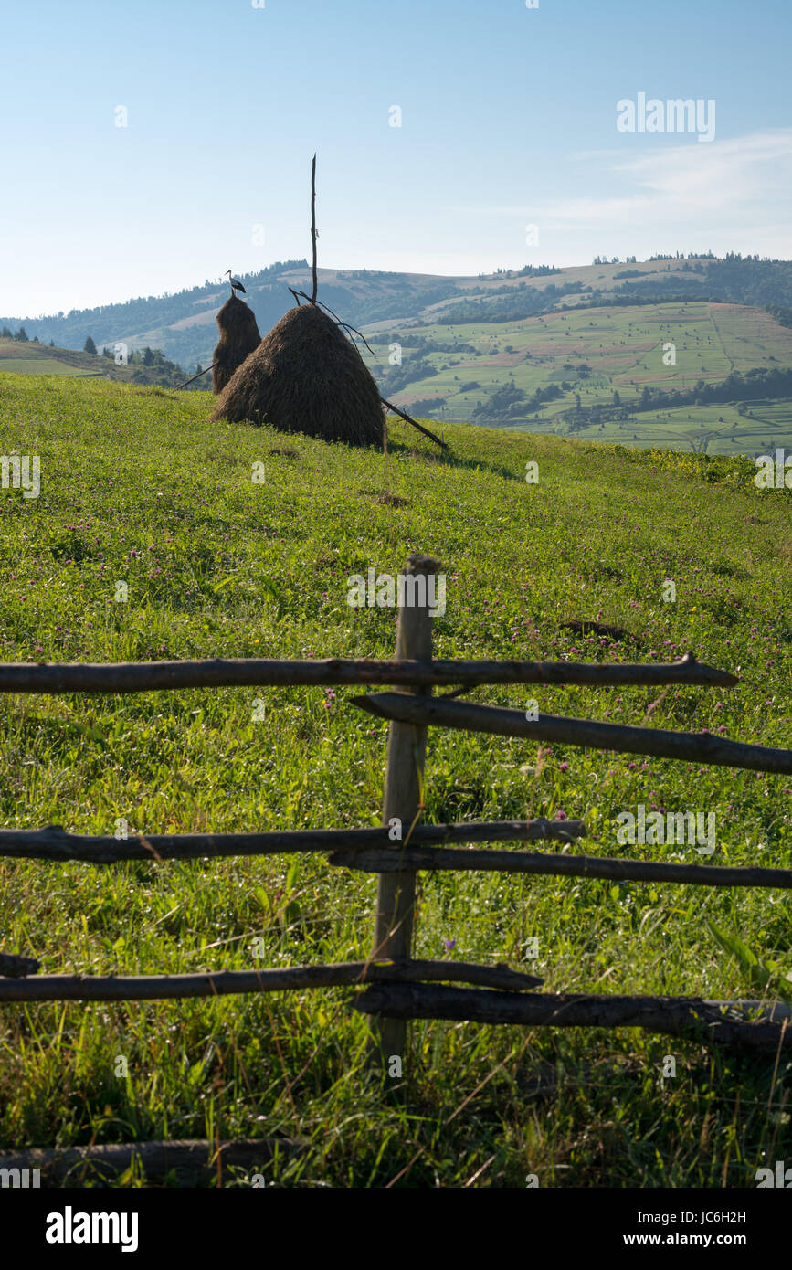 Wooden fence, haystacks and white stork in the Ukrainian Carpathian ...