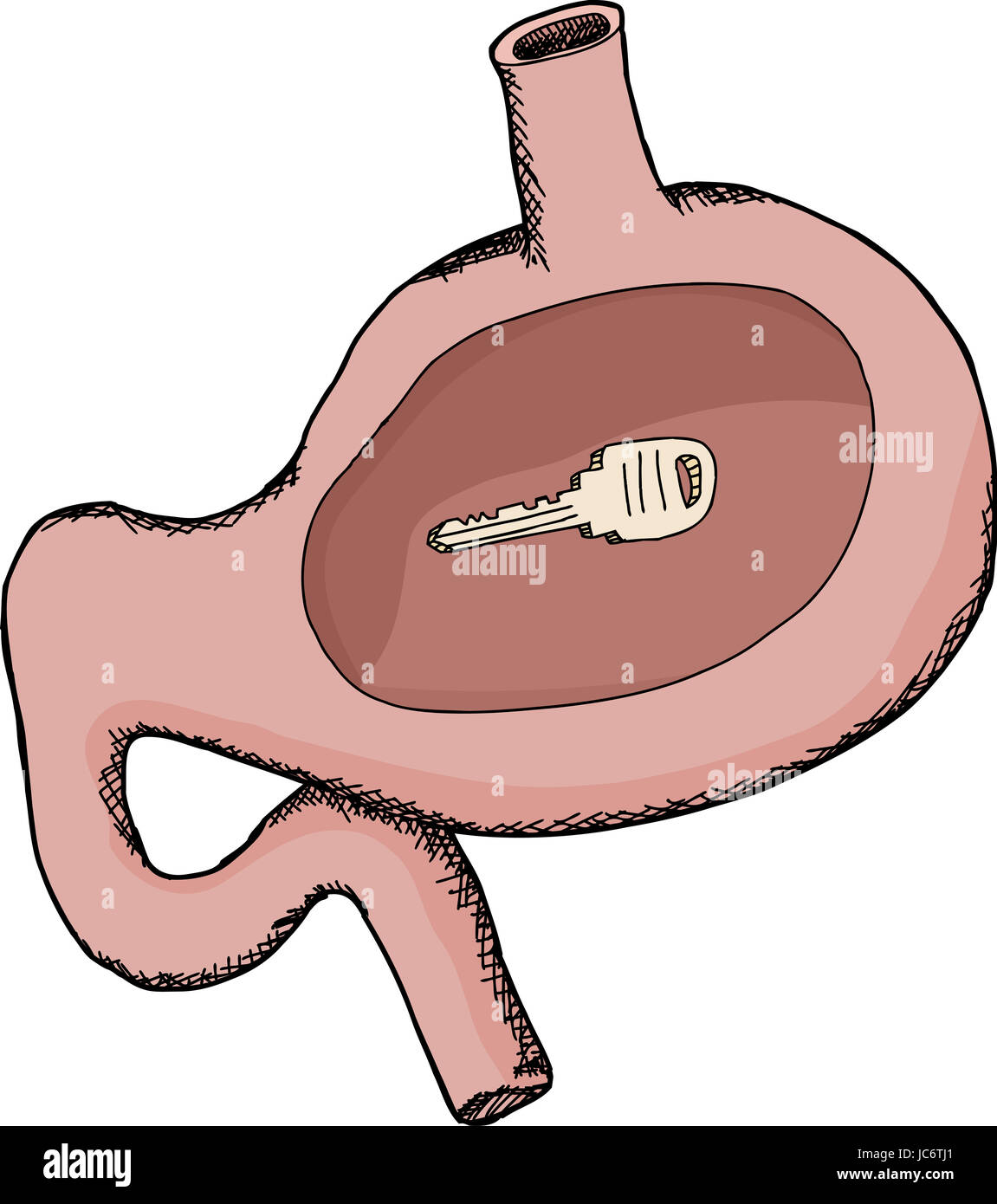 Inside Stomach Cartoon