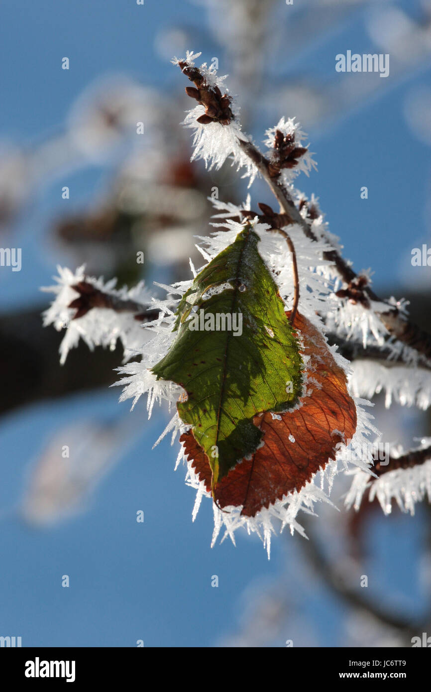 magic of nature Stock Photo - Alamy