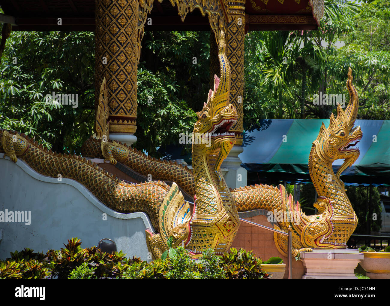 Railing the serpent Stock Photo - Alamy