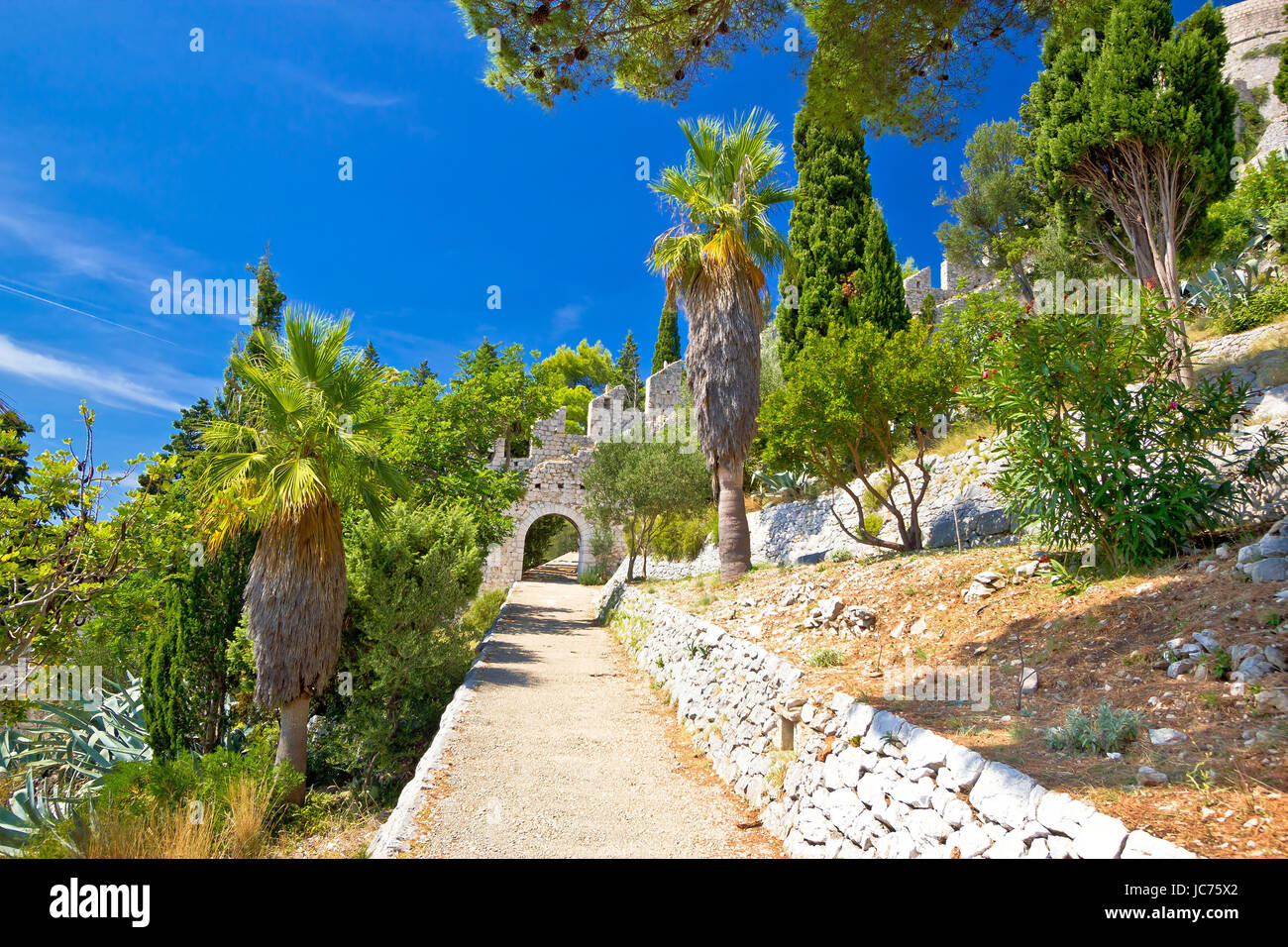 Historic Hvar fortification wall in nature with palm, agave - Dalmatia ...