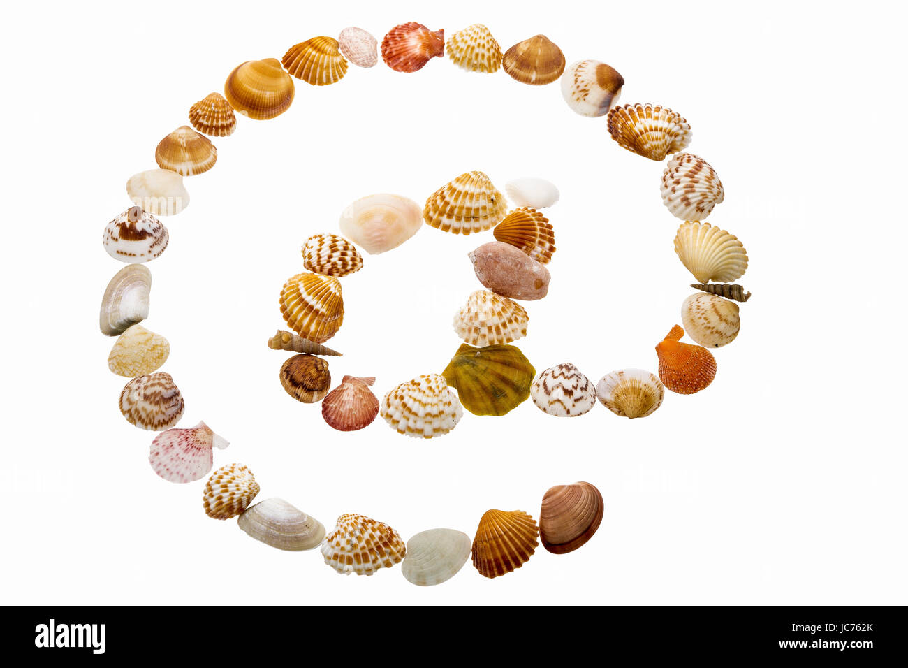 Shells aligned to shape the at sign. The At or At sign is also called ...