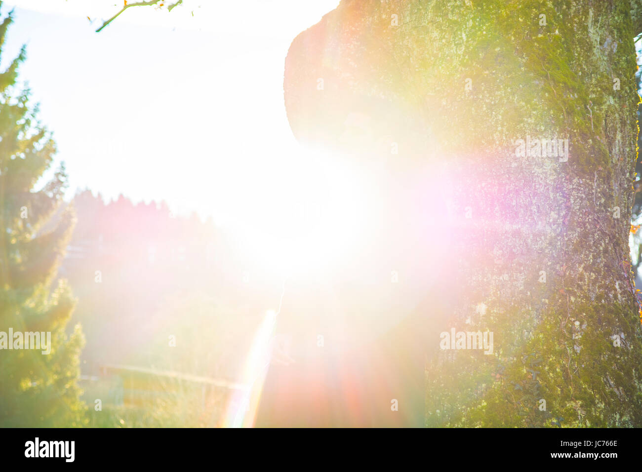 Abstract reflection of the sun on camera, creating a bright light ...