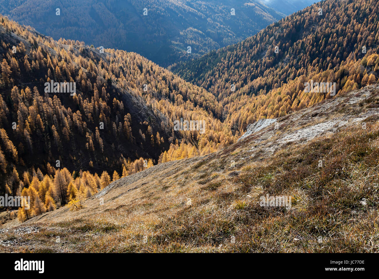 national park nockberge Stock Photo - Alamy