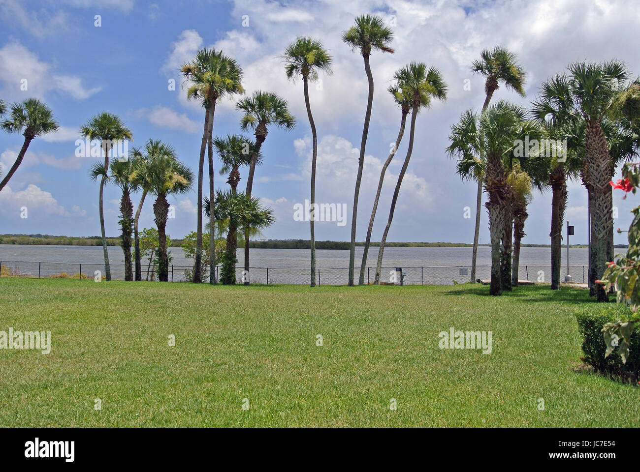 north america florida Stock Photo - Alamy
