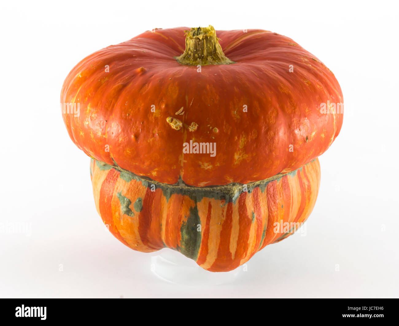 Single pumpkin on white background, symbol of autumn Stock Photo - Alamy