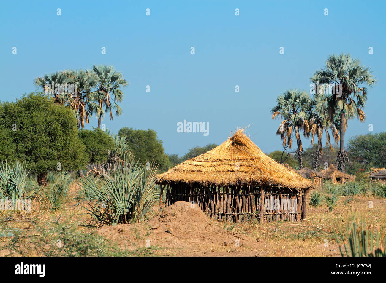 Traditional rural African wood and thatch hut, Caprivi region, Namibia ...