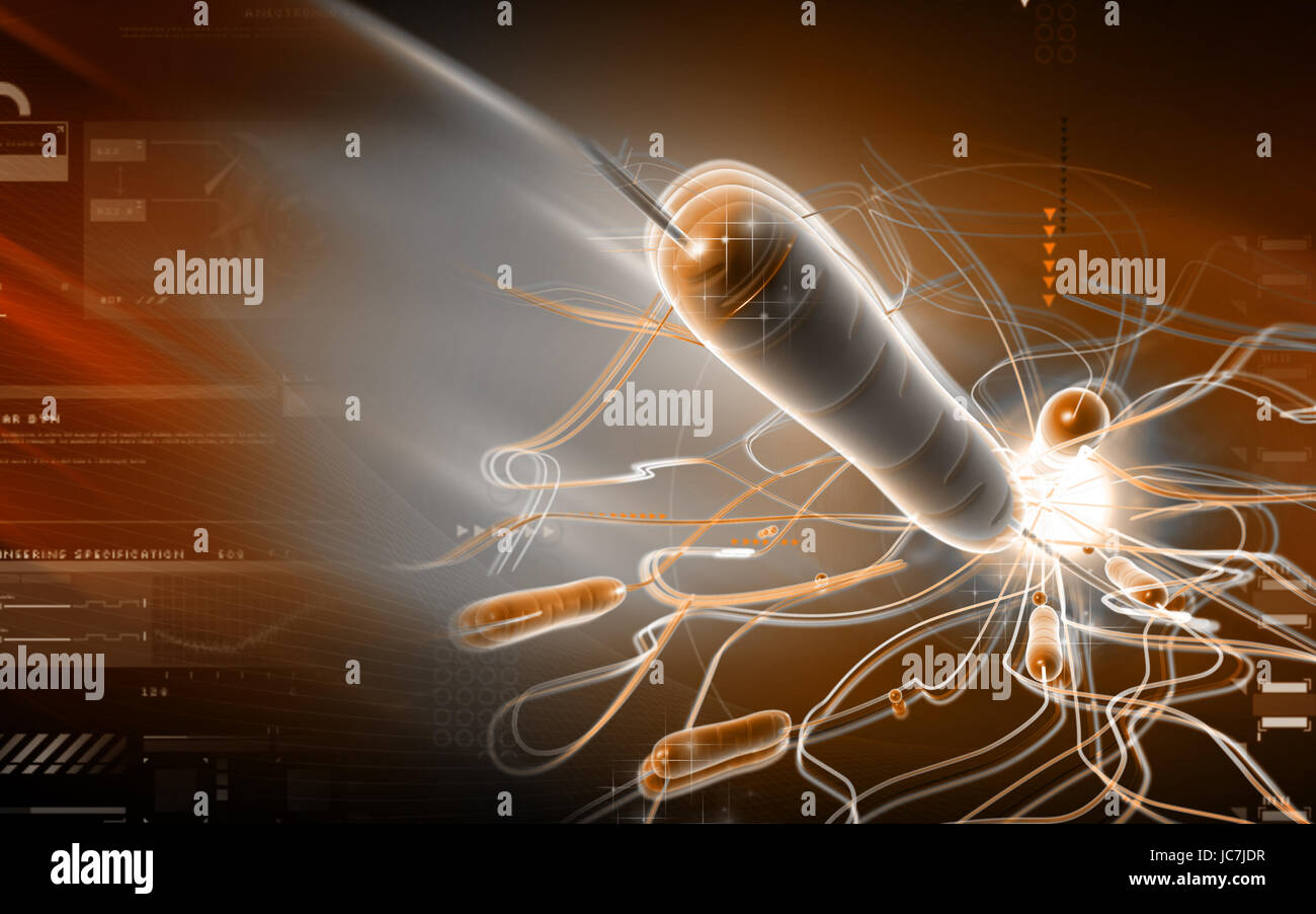 Bacterium vibrio hi-res stock photography and images - Alamy