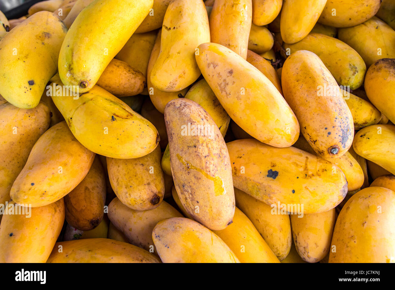 Sandy sweet hi-res stock photography and images - Alamy