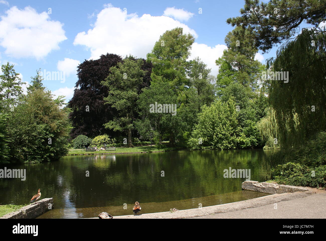 Wilhelminapark, a monumental 19th century city park (stadspark) in ...