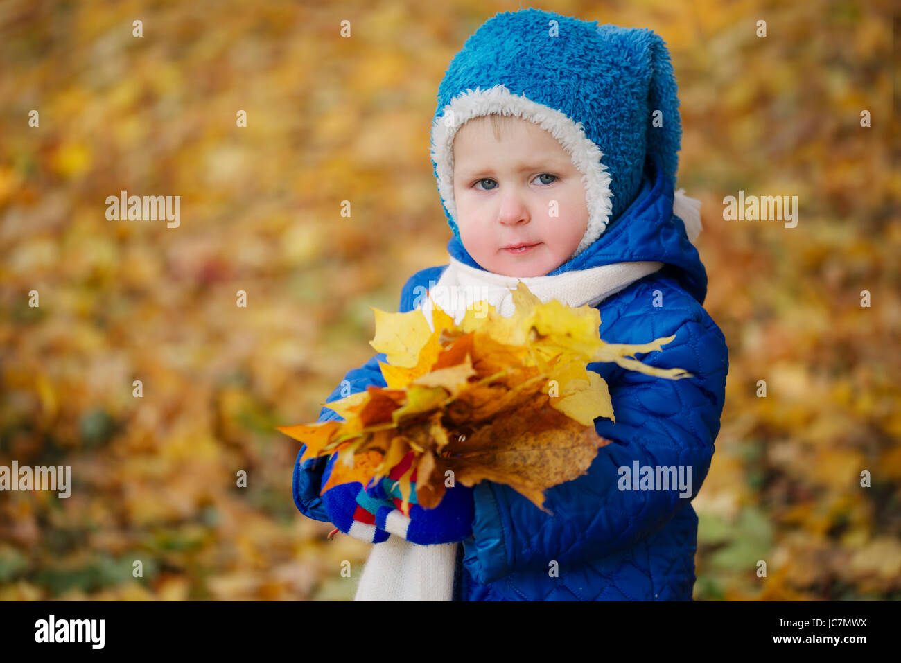 Baby red maple leaves hi-res stock photography and images - Alamy