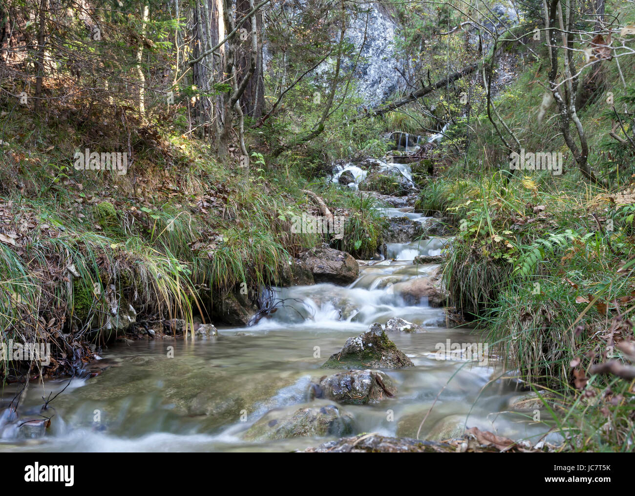Meadow stream bubble water hi-res stock photography and images - Alamy