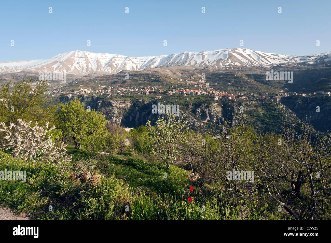 Gulches hi-res stock photography and images - Alamy