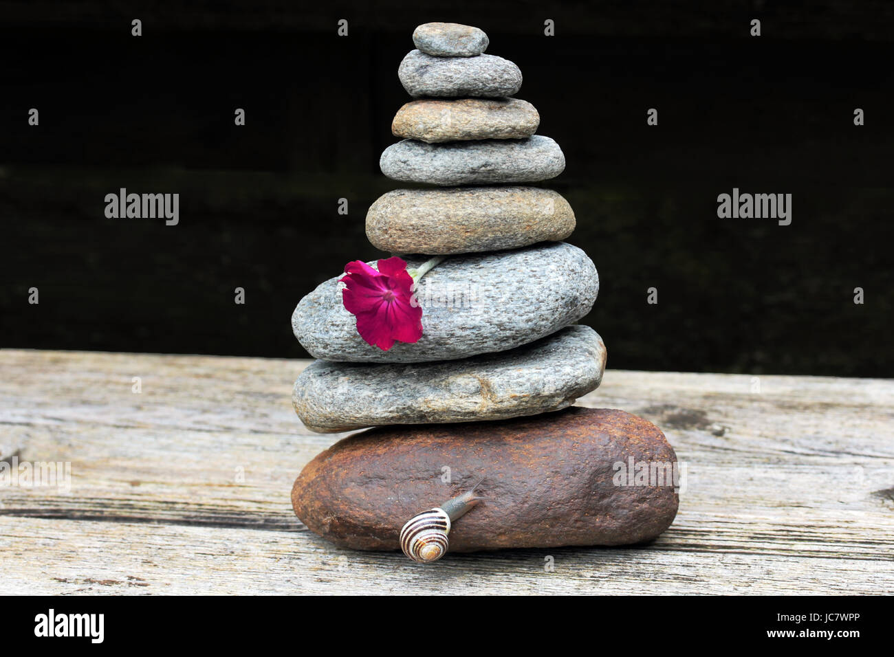 the snail and the tower Stock Photo - Alamy