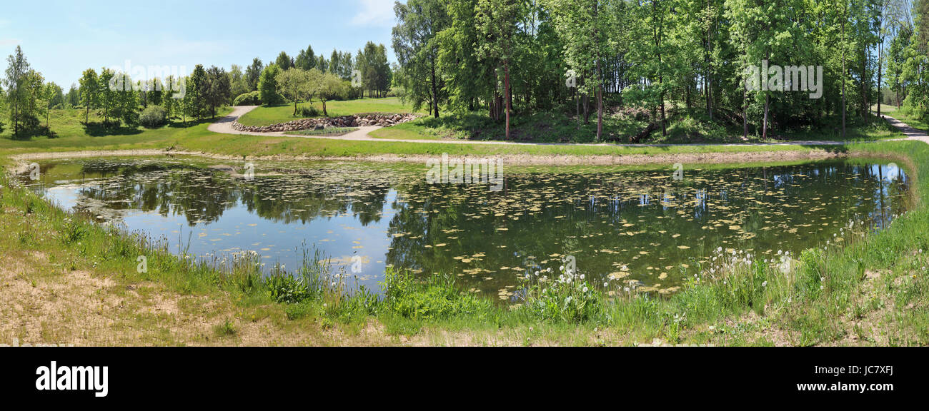 Panorama of a small rural pond with still water. The water surface has ...