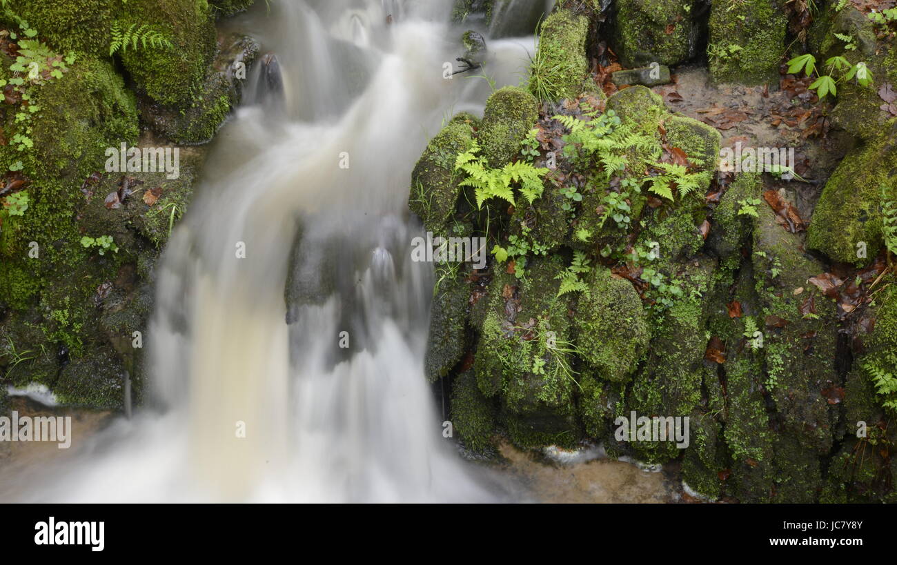 bach, wasser, fließen, fließend, frühling, wald, natur, frisch ...