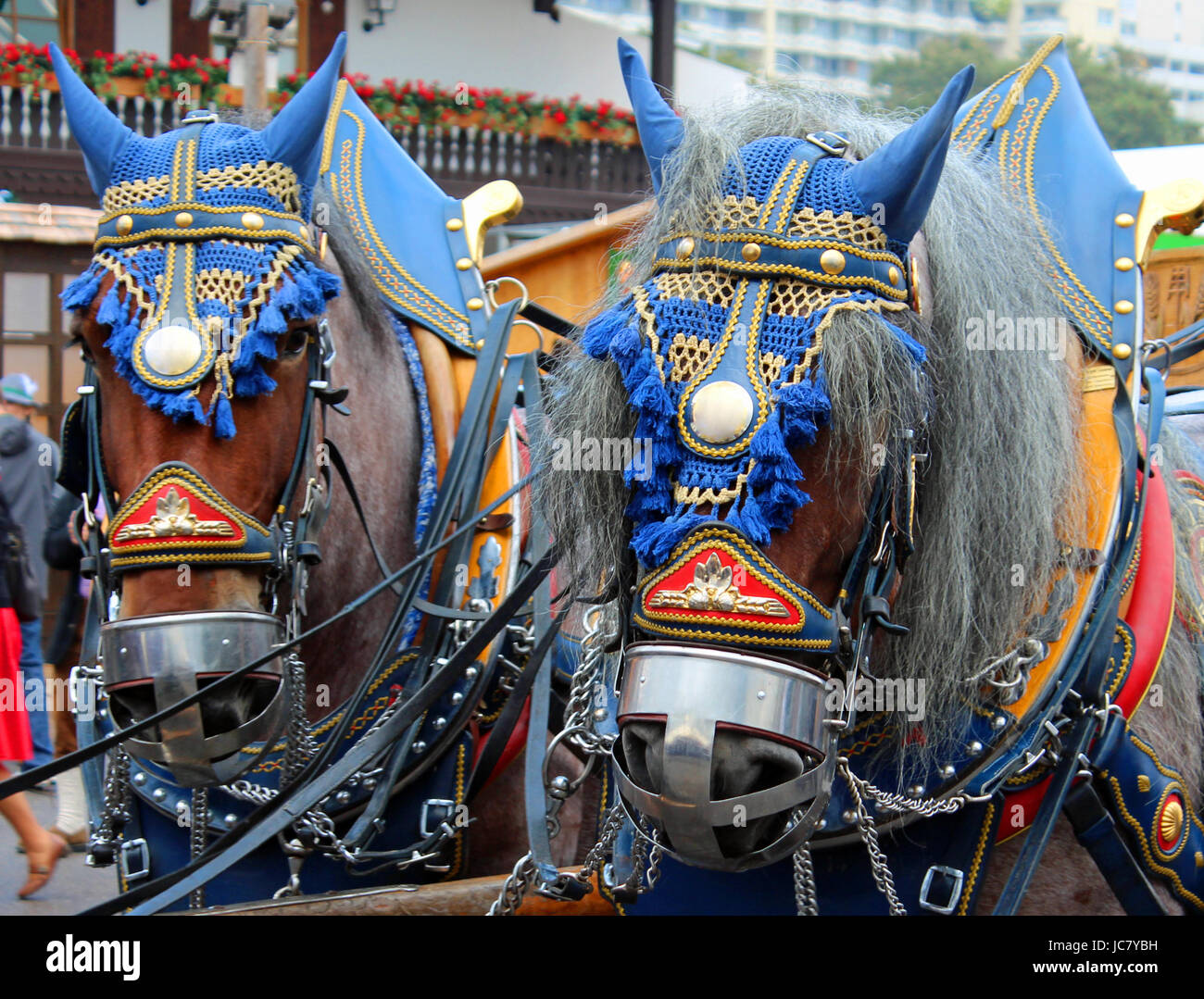Human gyroscope hi-res stock photography and images - Alamy