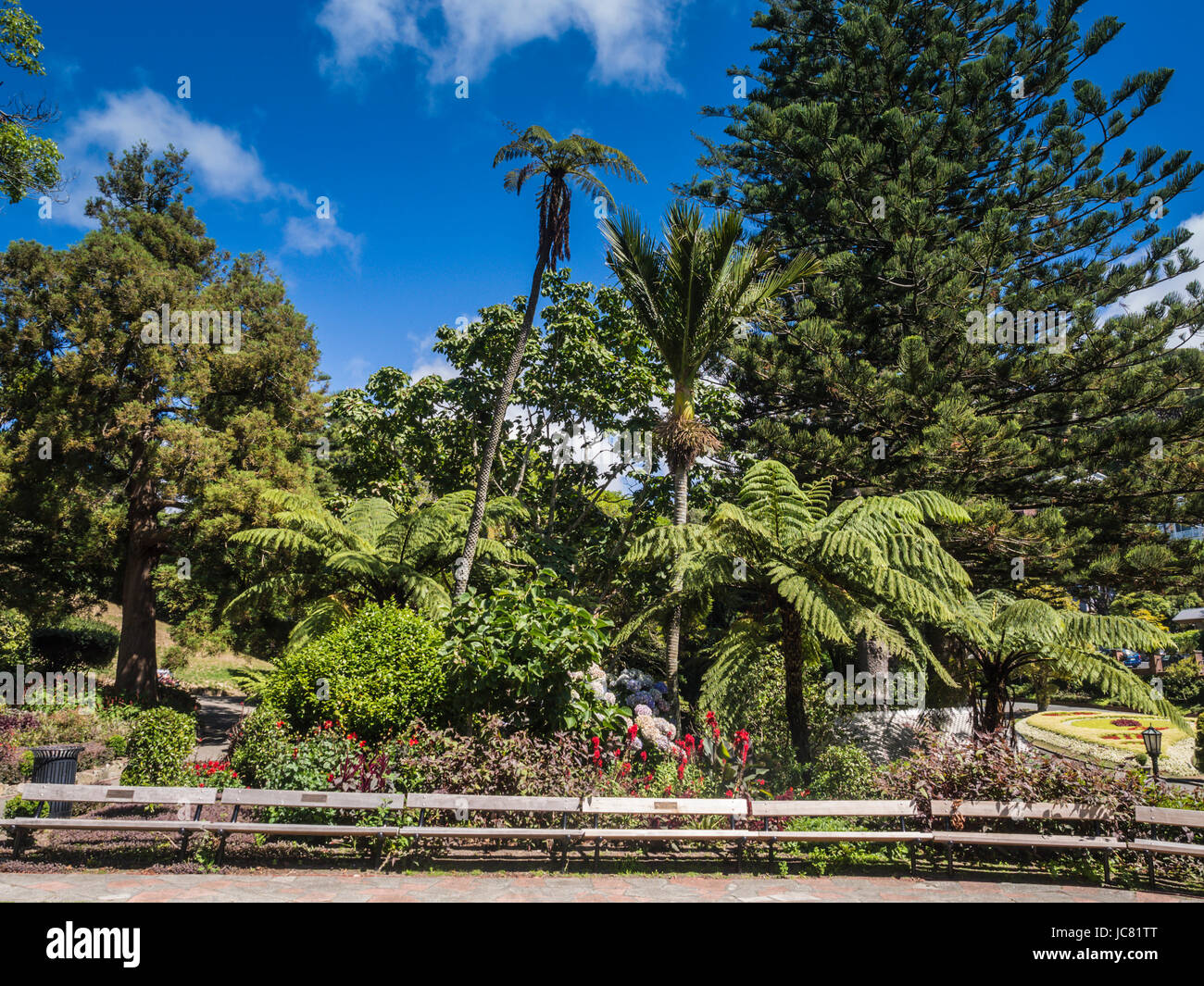 Garden planted with trees hi-res stock photography and images - Alamy