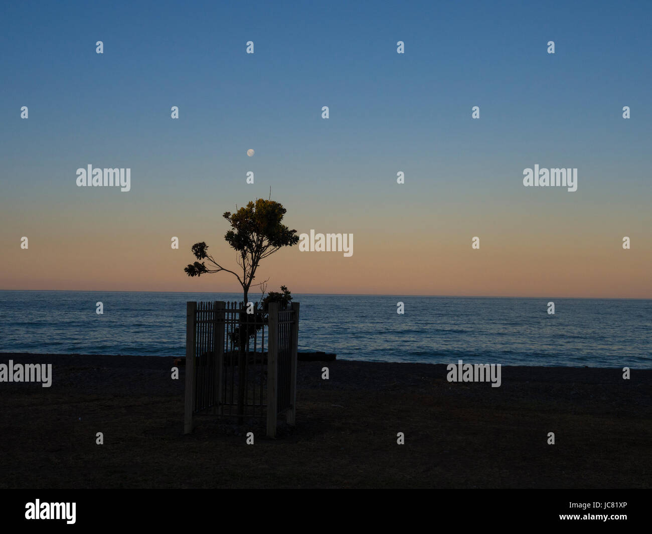 Full moon ocean hi-res stock photography and images - Alamy