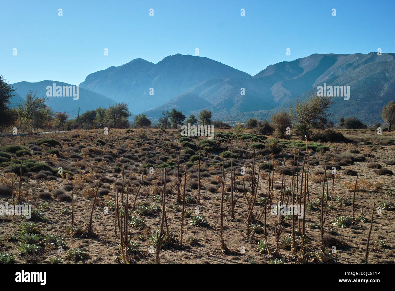 view from omalos to gigilos (crete Stock Photo - Alamy