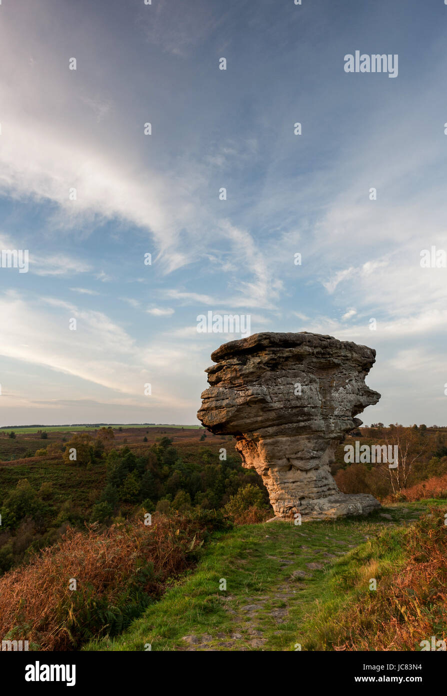 The Bridestones, in Dalby forest Stock Photo - Alamy