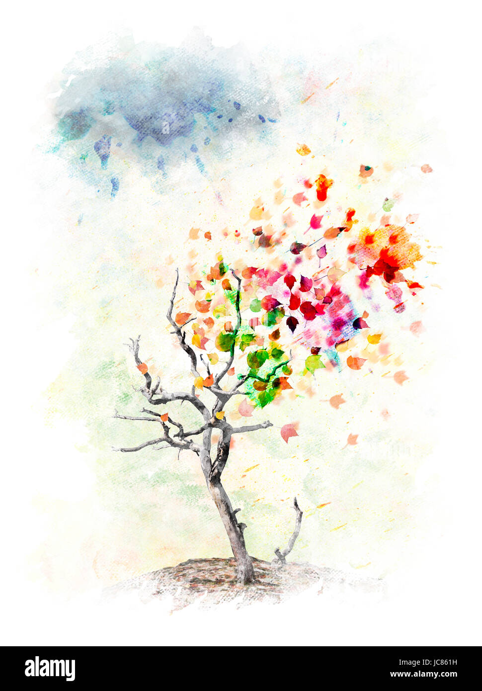 Watercolor Digital Painting Of Colorful Autumn Tree Stock Photo - Alamy