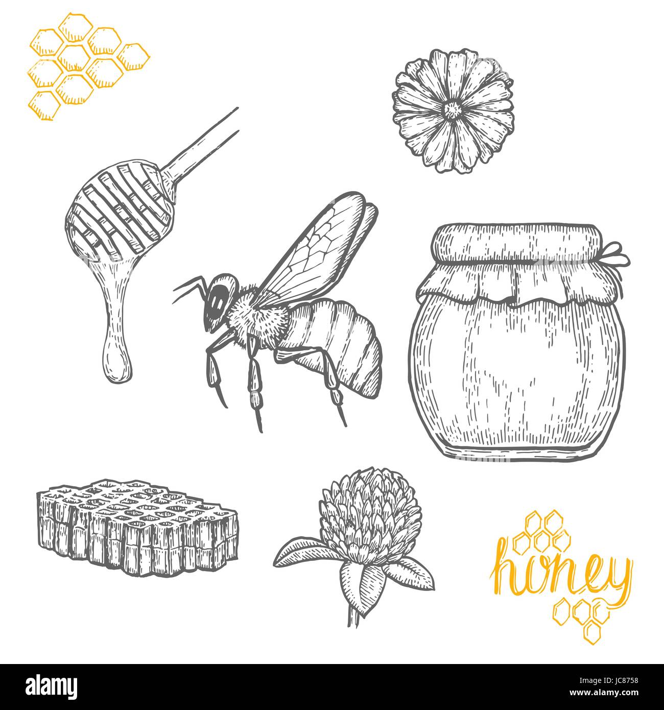 Hand drawn honey set over white background Stock Vector Image & Art - Alamy