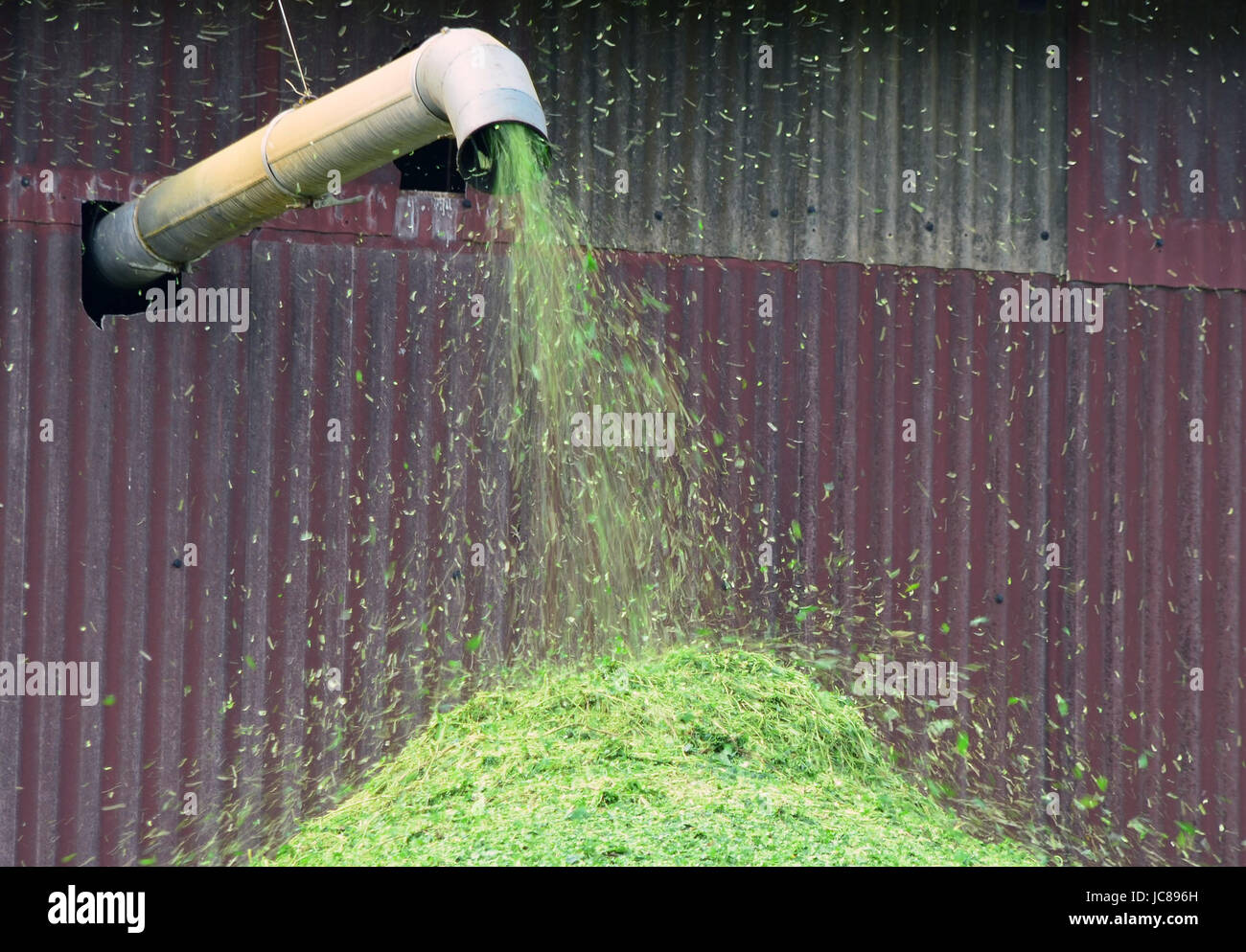 throw-off chopped straw Stock Photo - Alamy