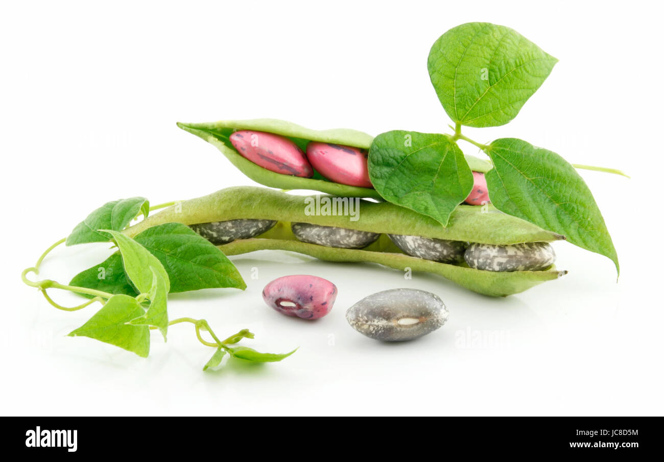 Ripe Haricot Beans with Seed and Leaves Isolated on White Background ...
