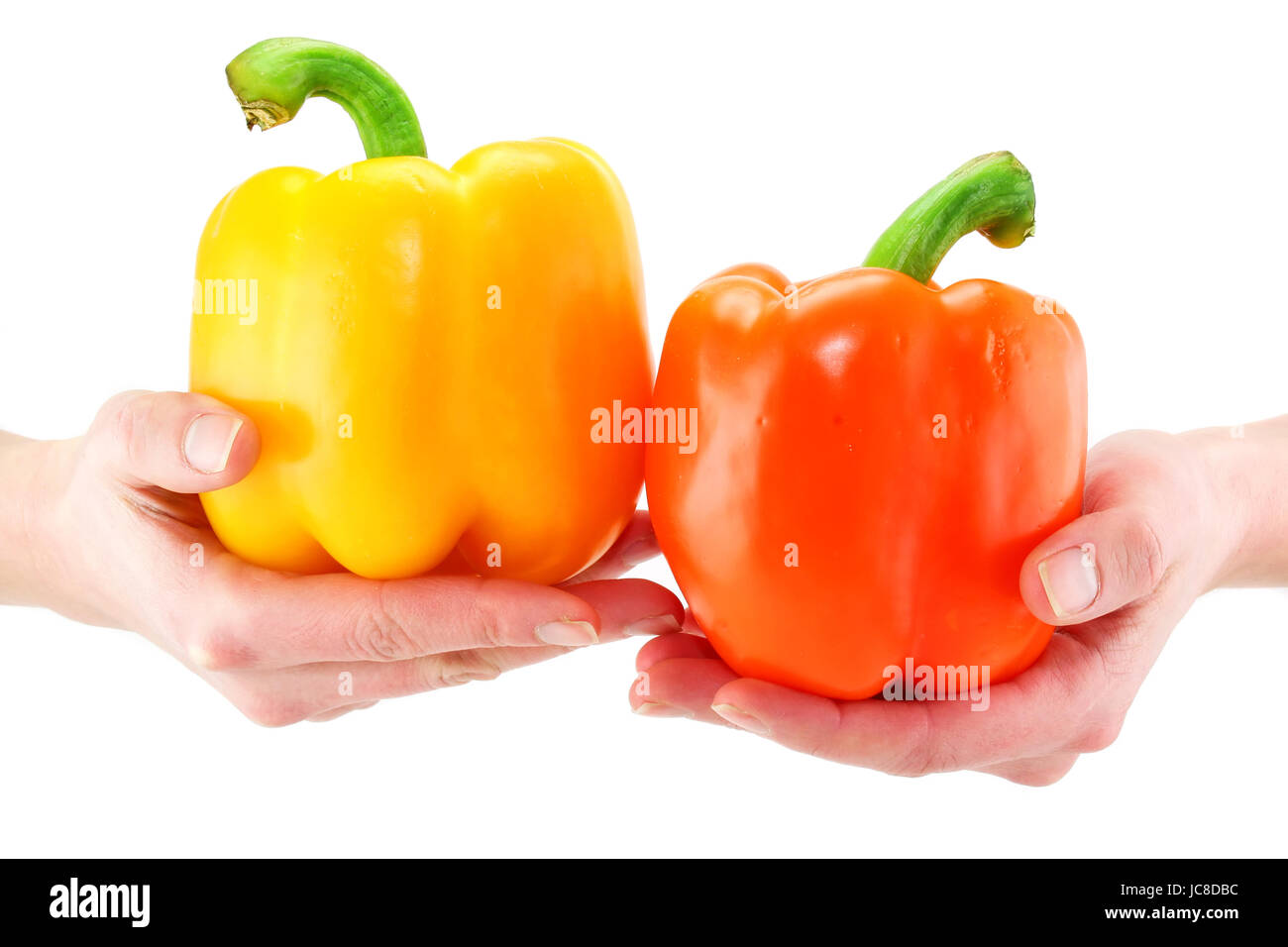 Woman's hands holds two colored paprika isolated on a white background ...
