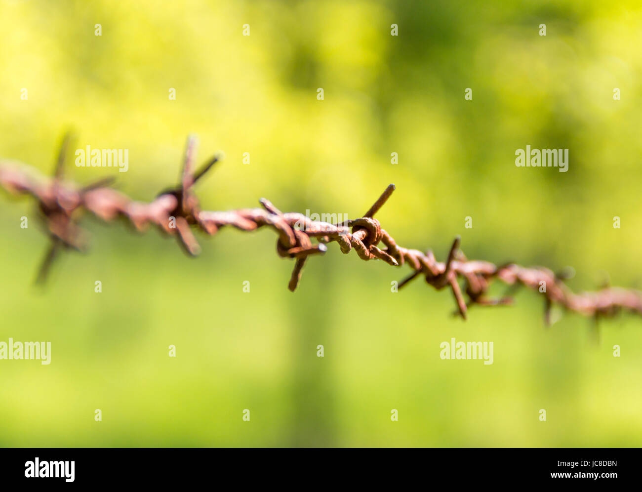 rusty barbed wire detail in green blurry back Stock Photo - Alamy