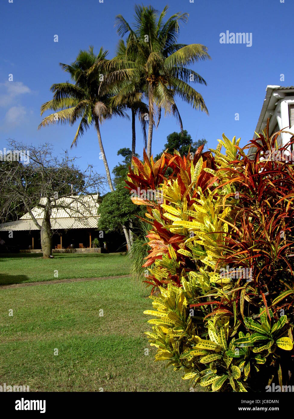 La vanille nature park mauritius hi-res stock photography and images ...