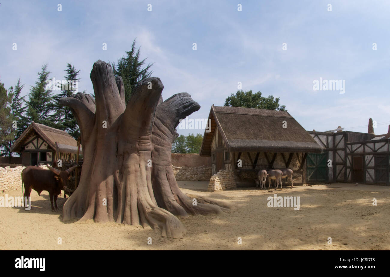 Baobab farm hi-res stock photography and images - Alamy