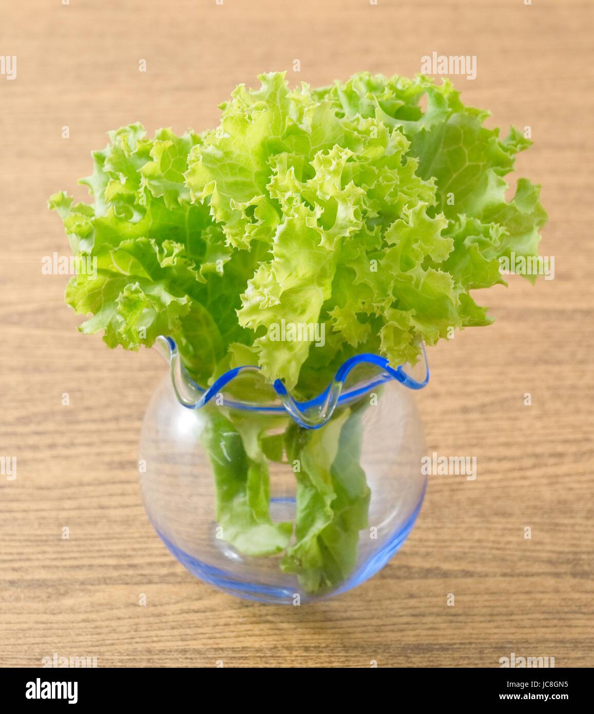 Vegetable, Delicious Fresh Green Lettuce Leaves in Small Blue Glass ...