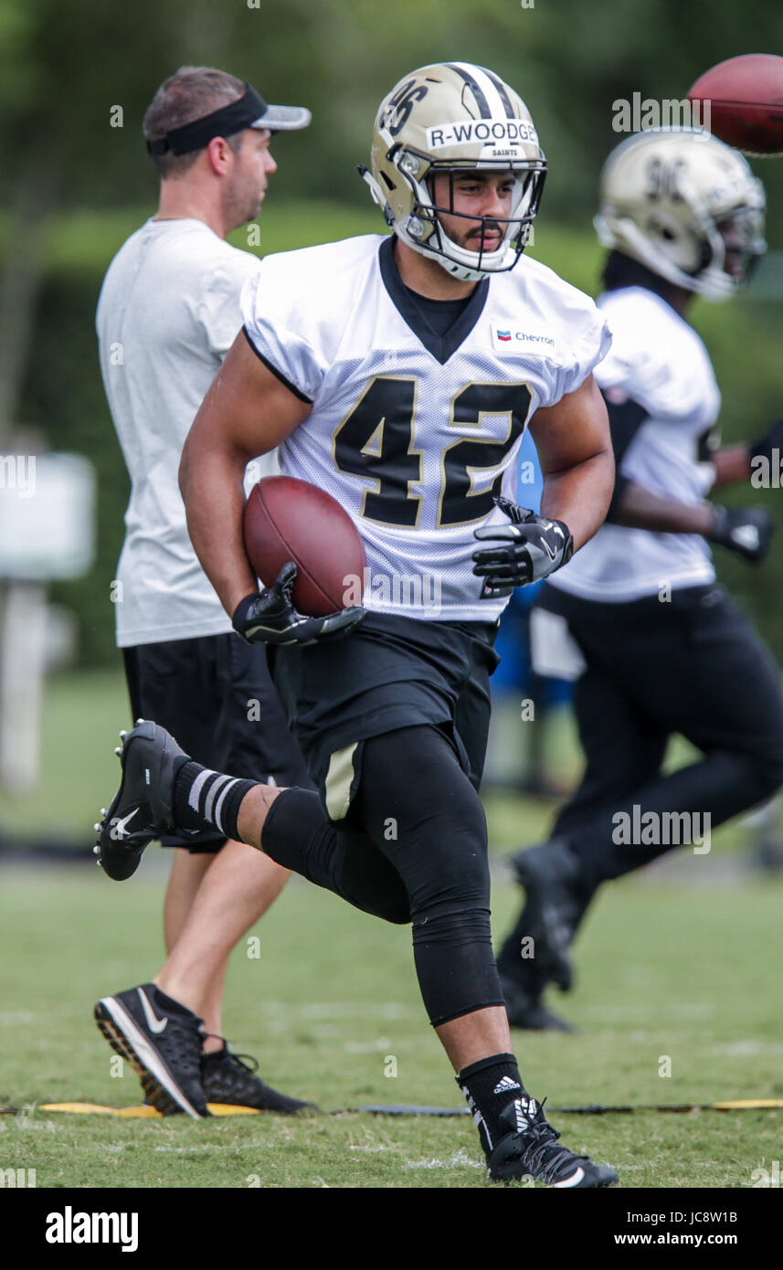 June 14, 2017 - New Orleans Saints outside linebacker John Robinson ...