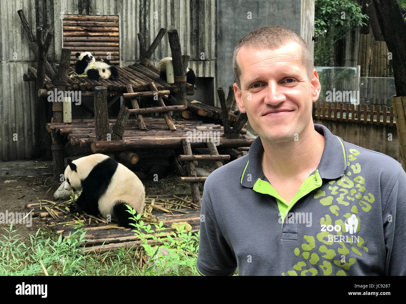 Zoo keeper from Berlin Christian Toll at the panda breeding station on ...