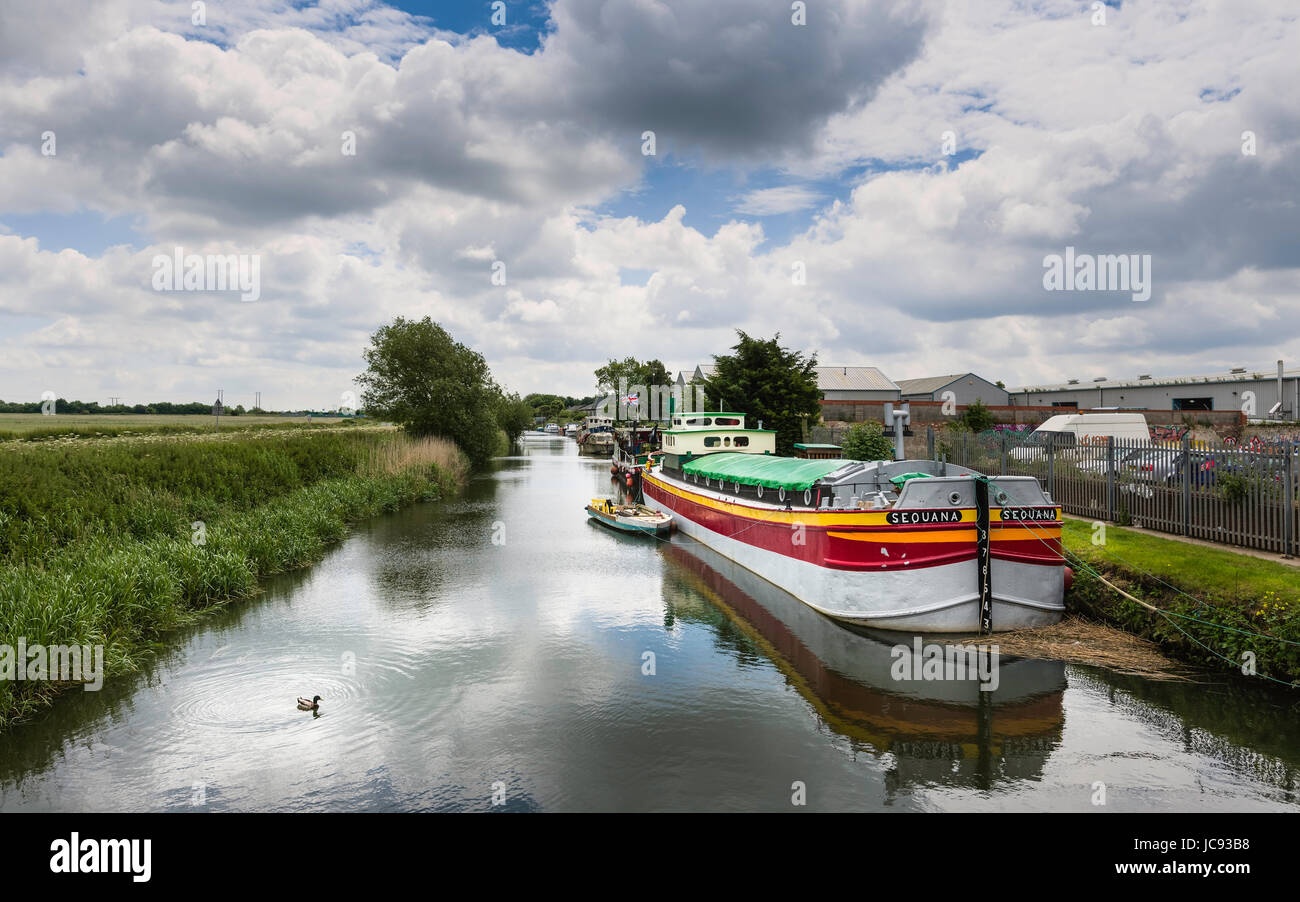 Renovated barge and a few derelict, abandoned barges on the river Hull ...