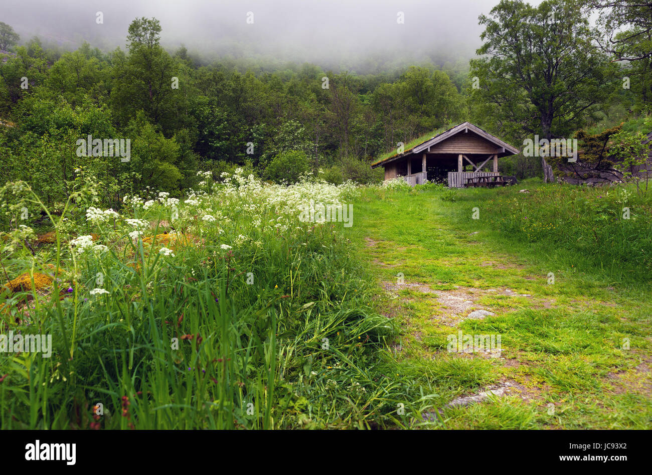 Path to a log cabin Stock Photo - Alamy