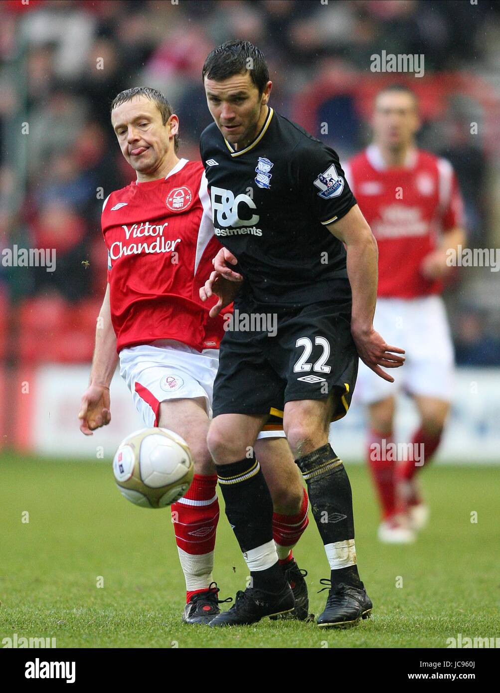 Damien johnson forest hi-res stock photography and images - Alamy