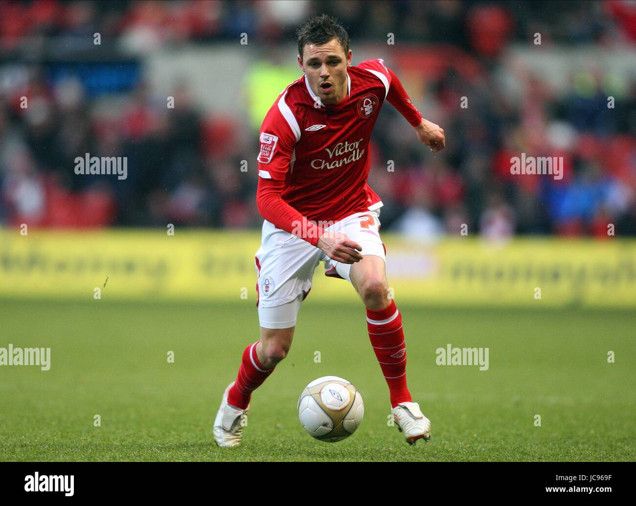 Paul anderson forest hi-res stock photography and images - Alamy